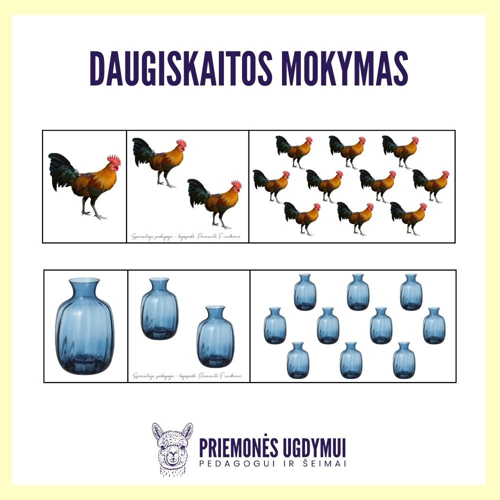 Daugiskaitos mokymas - priemonesugdymui.lt